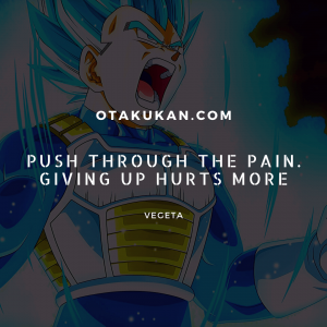 10 Best Vegeta Quotes From Dragon Ball | OtaKuKan