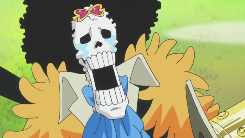 One Piece Main Characters, Their Skills and Stories | OtaKuKan
