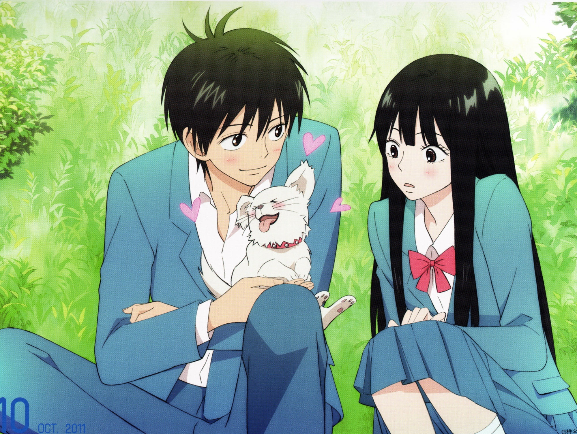 Top 15 Dandere Characters in Anime | OtaKuKan