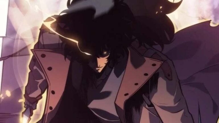 All National Level Hunters in Solo Leveling | OtaKuKan