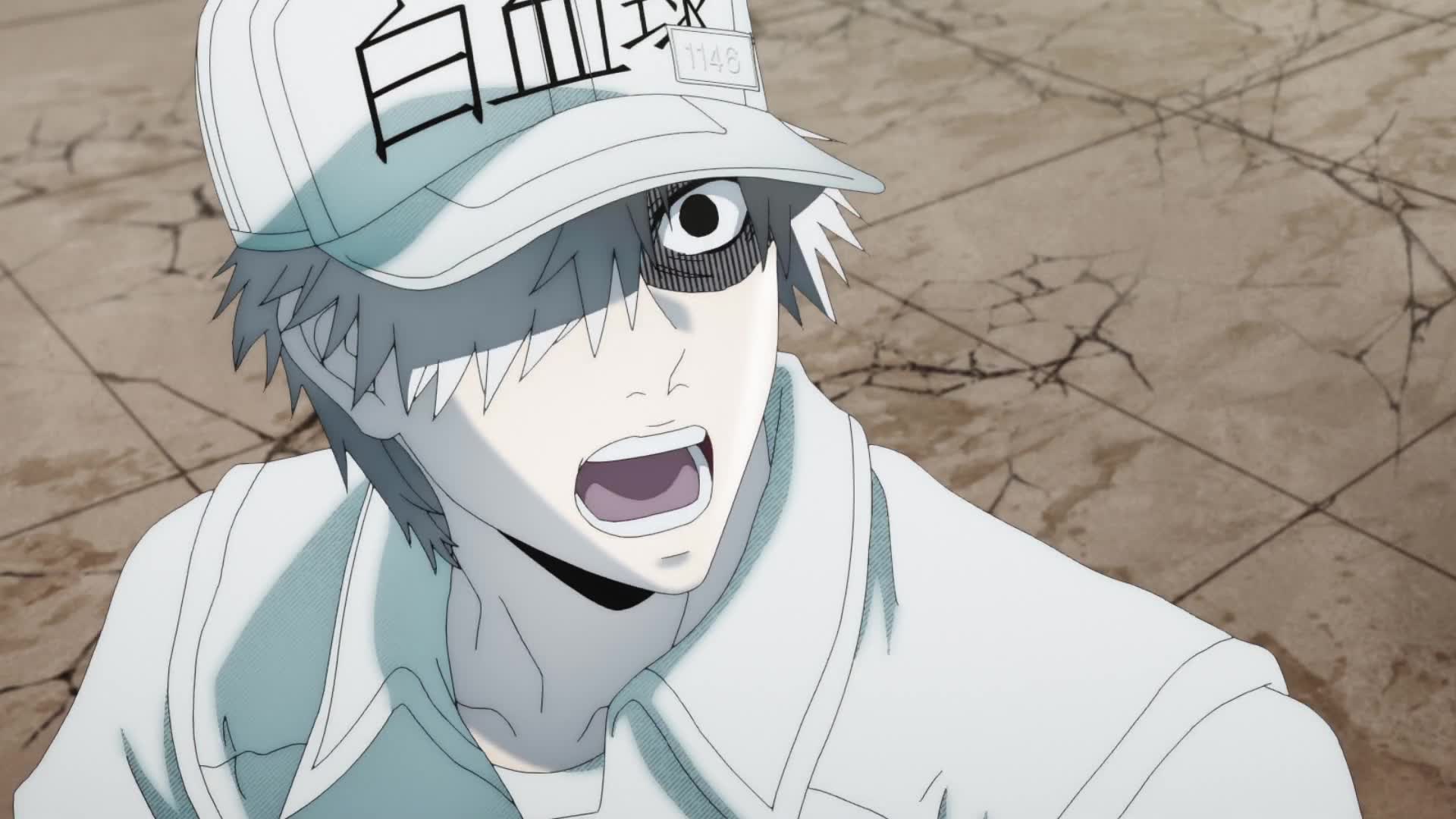 Best Cells at Work Quotes for Fans | OtaKuKan